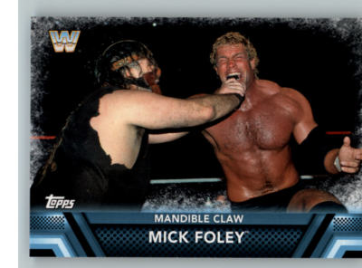 2017 WWE Then Now & Forever Finishers #21 Mick Foley | eBay