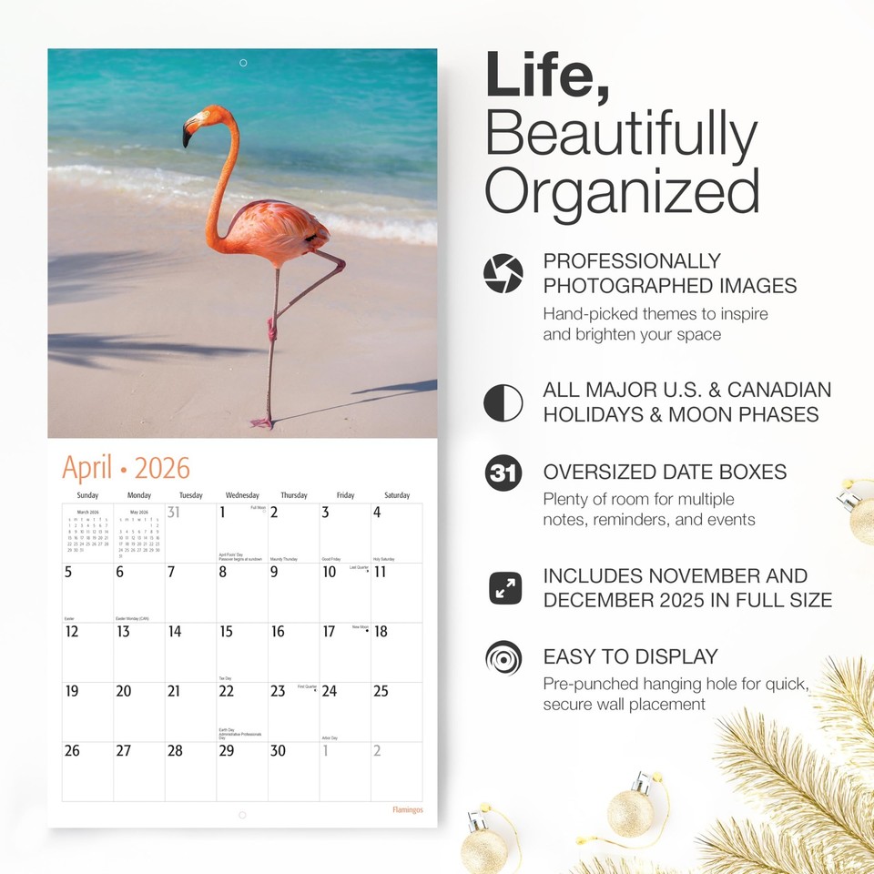 Flamingos 2026 Wall Calendar 12 Month | 12" x 24" Open | Thick & Sturdy ...