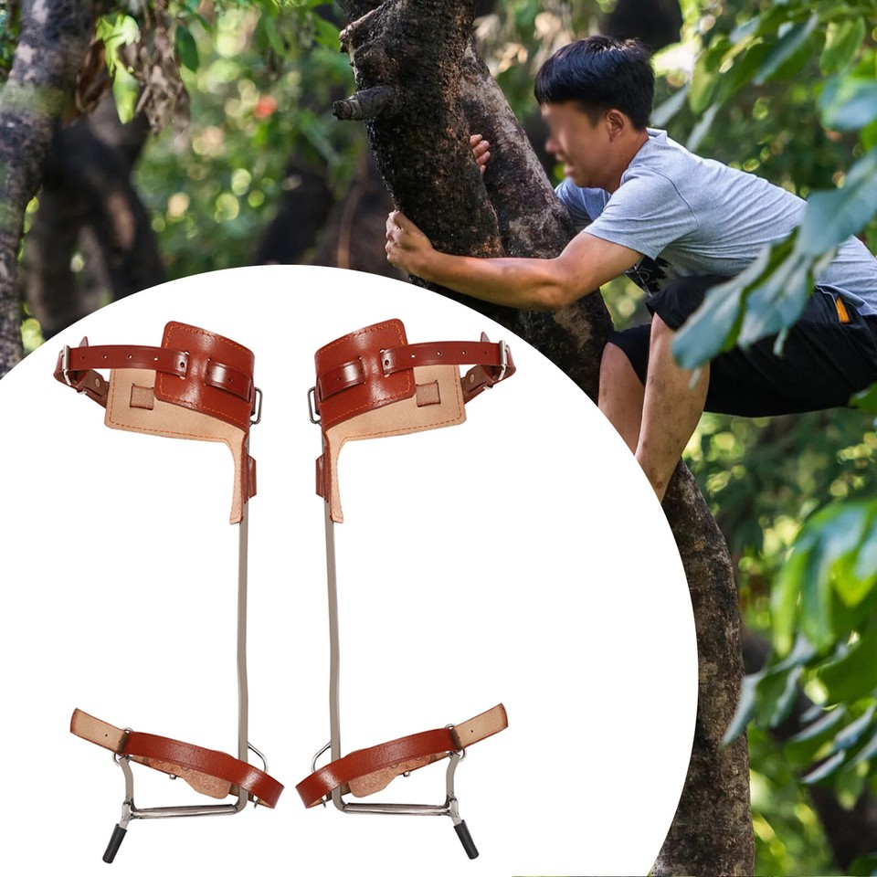 Tree Climbing Spike Set Adjustable Pole Climbing Spurs Tool Climber ...
