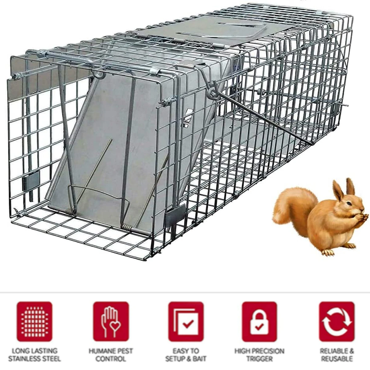 Humane Pet Trap