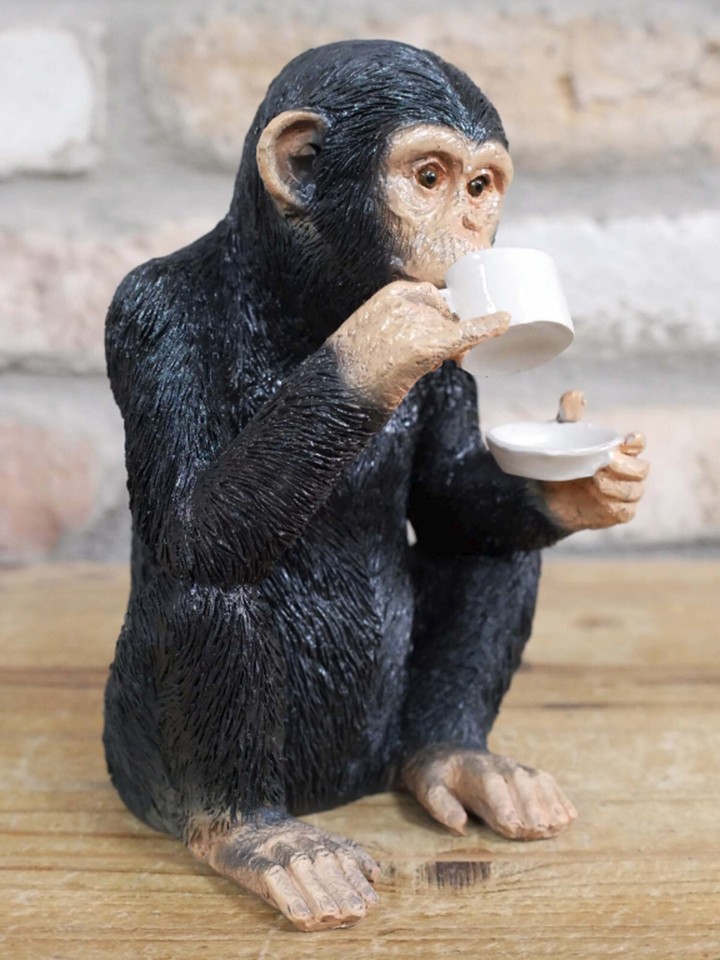 Monkey Drinking Tea Coffee Cup Figure Funny Cheeky Chimp Ornament 18cm ...