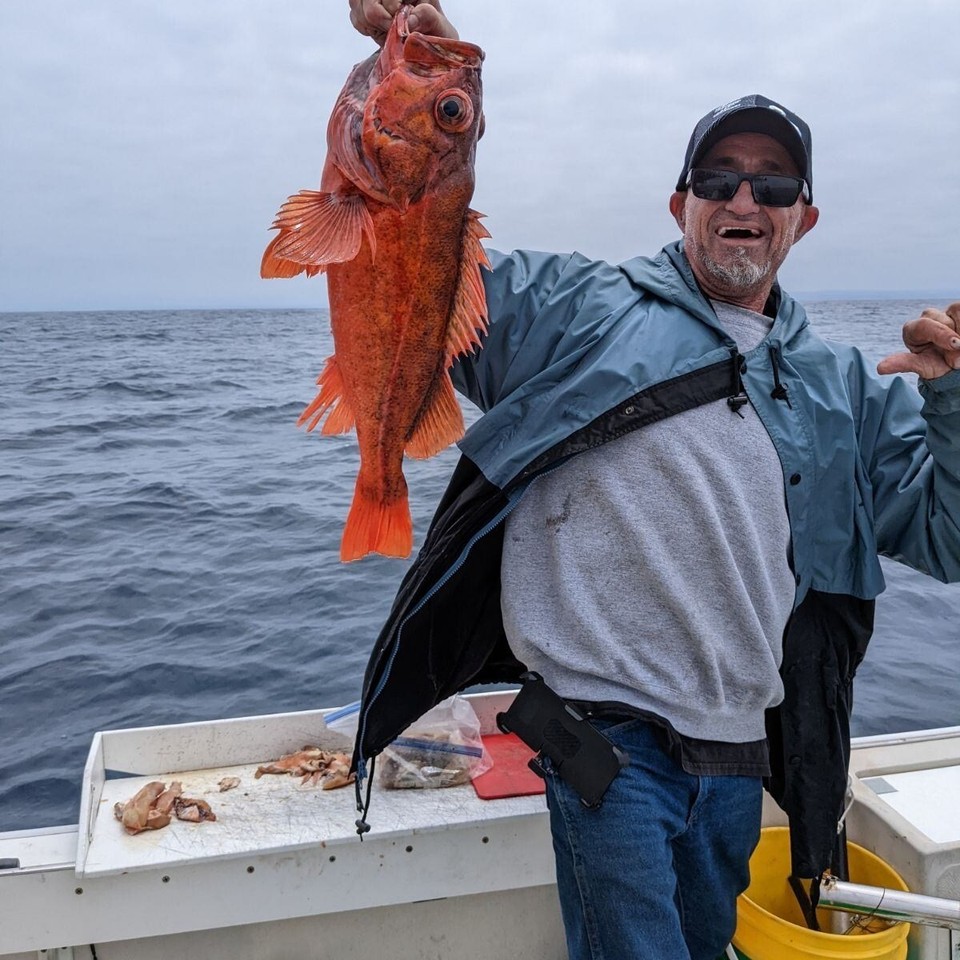 NEW ! 4 HOOK CUSTOM DEEP DROP RIG BOTTOM FISHING ROCK COD ULTRA HD | eBay