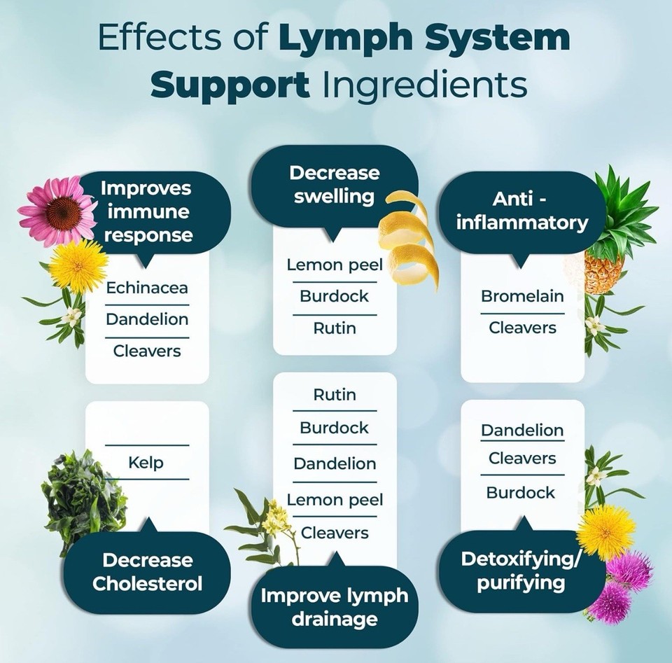 Pure Health Research Lymph System Support - 60 Capsules (Free shipping ...
