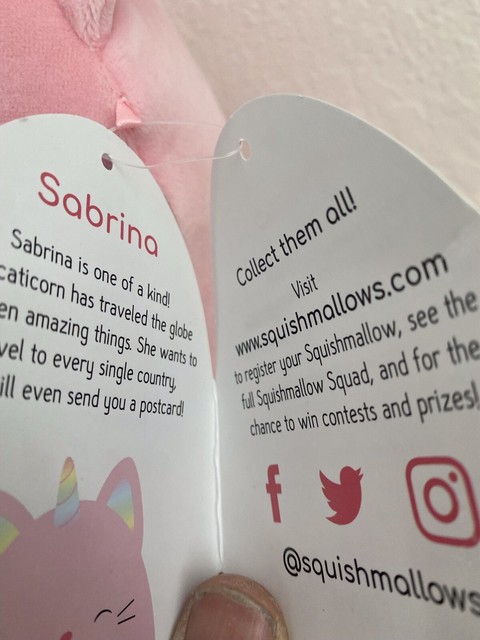 Squishmallows Sabrina The Pink Rainbow Caticorn Hard to Find 12 " Plush ...