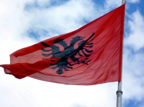 Flamur Shqiptar madhsi e vogel | eBay