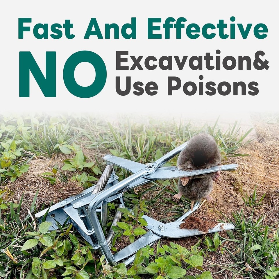 2 Pack Mole Traps,Galvanized Steel Scissor Trap,Reusable Mole Trap ...