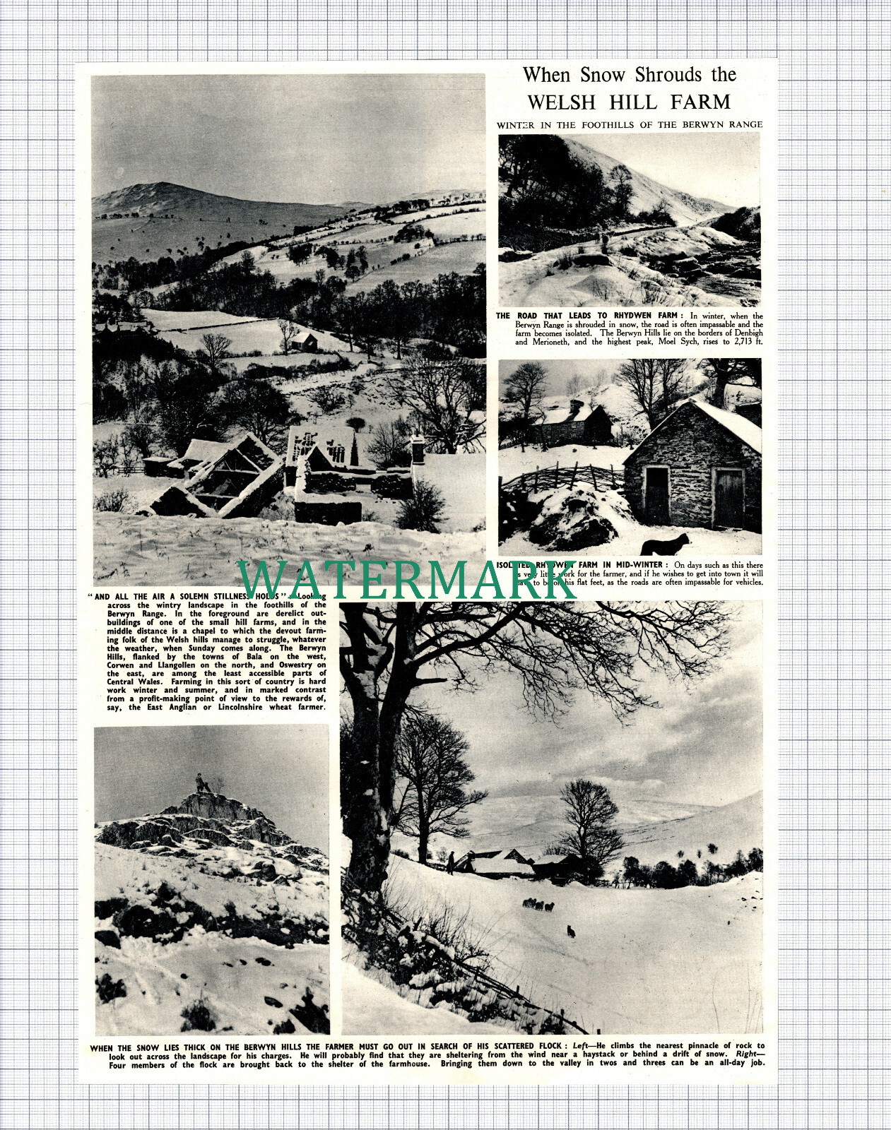 (X299) Rhydwen Farm Berwyn Hills Wales - 1951 Clip | eBay