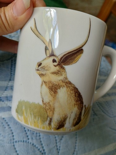 Rare Item Vtg Jackalope Cryptid Coffee Ceramic Mug | eBay