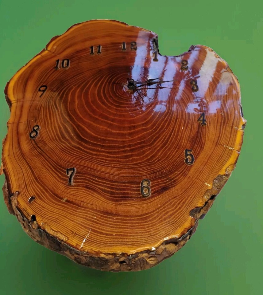 Beautiful Wood Slab Clock Tree Trunk Slice | eBay