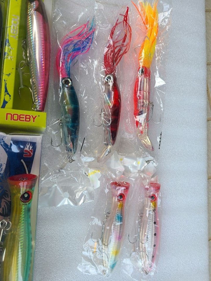 Top Hopper, Amberjack, Japanese amberjack, Yellowtail, Blue-runner ...