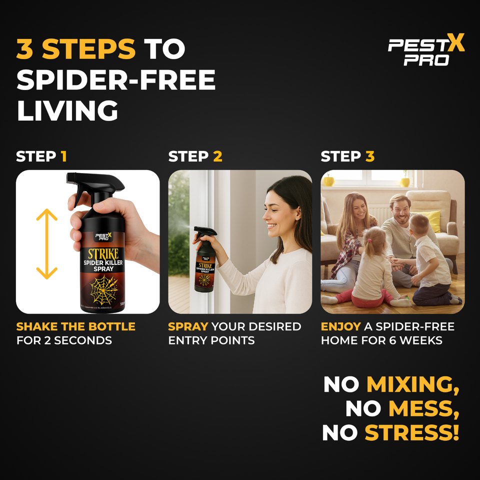 Pest-X Pro Spider Killer Spray 500ml Fast Acting Strong Repellent Non ...