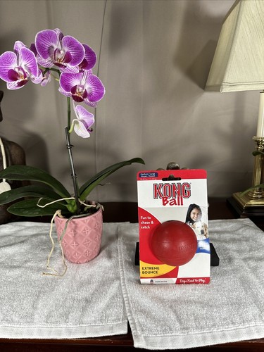 KONG Classic Bounce Ball MEDIUM/LARGE Durable Rubber Fetch & Chew Dog ...