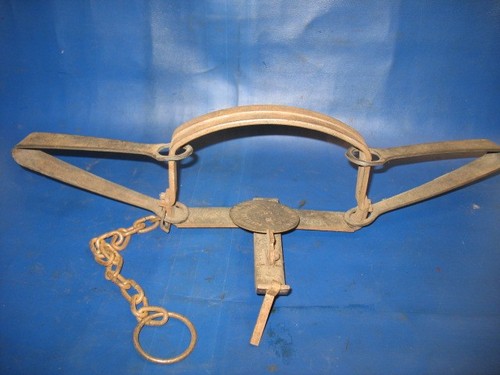 Vintage Pioneer #5 Double Long Spring Trap | eBay