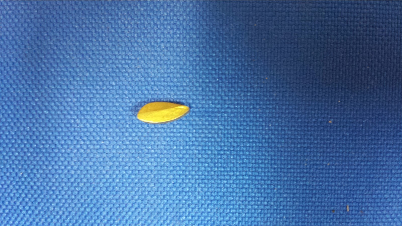 Colt Dragoon & Walker 1860 Army 1861 Navy Front Sight, also Uberti | eBay