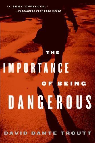 Importance of Being Dangerous by David Dante Troutt (2008, Trade ...