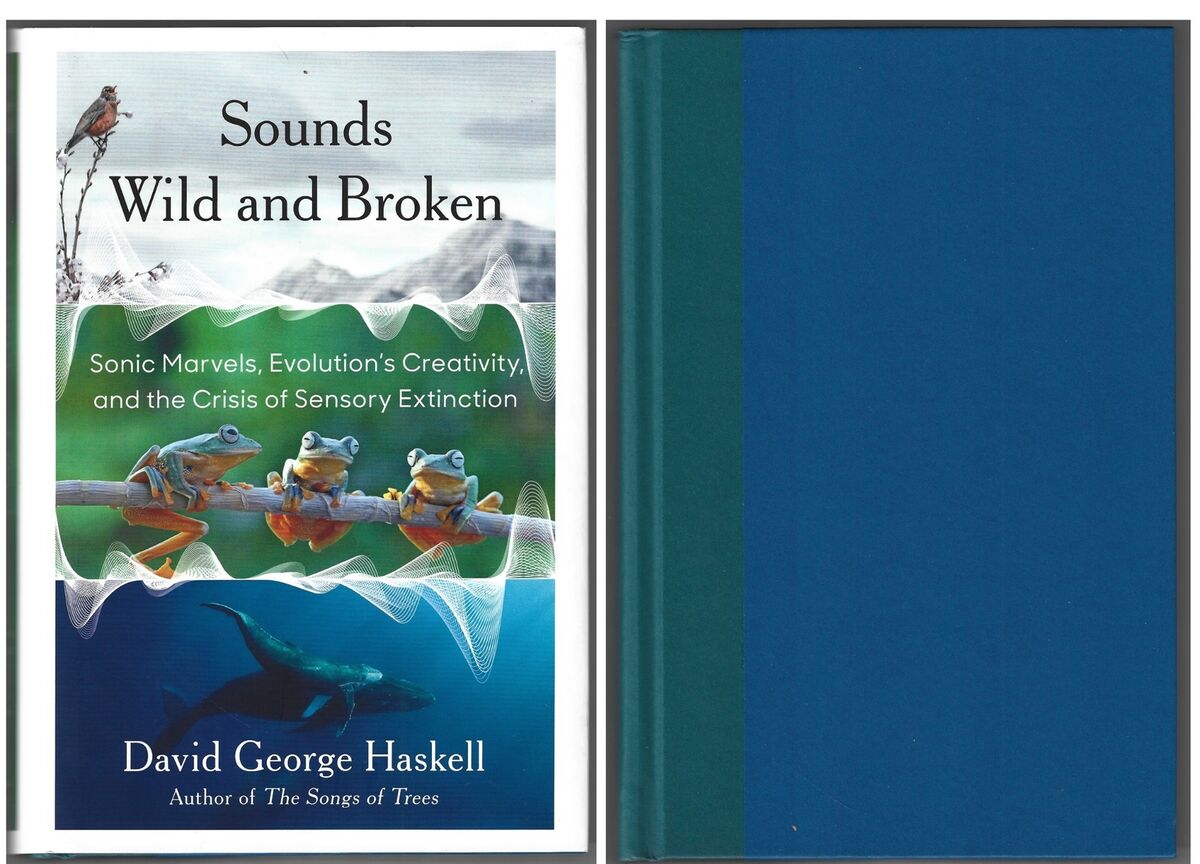 David George Haskell Trees, Poetic Plant Scientists And Big Scrub