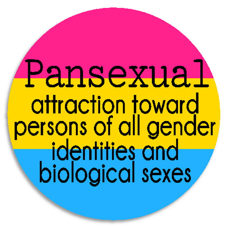 Pansexual Definition 100 Pack Circle Stickers 3 Inch Lgbtq Pride