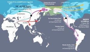 The bering strait is theorized to be a former land bridge between asia ...