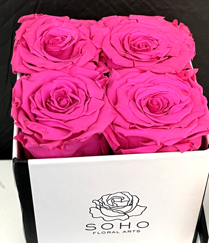 SOHO FLORAL ART Real Pink Roses Preserved Flowers Boxed | eBay