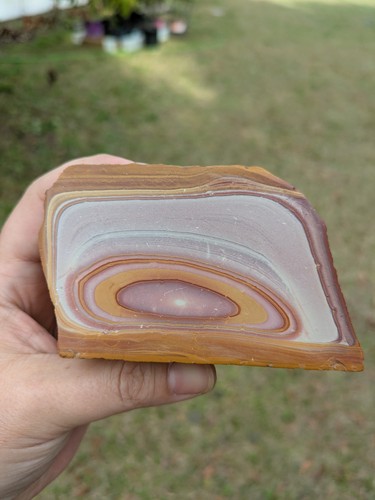 3.25" Banded Rhyolite Agate Stone Rough Collectible Specimen | eBay