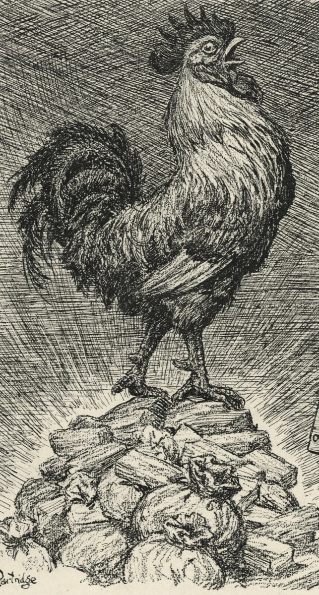 Gallic Rooster Drawing