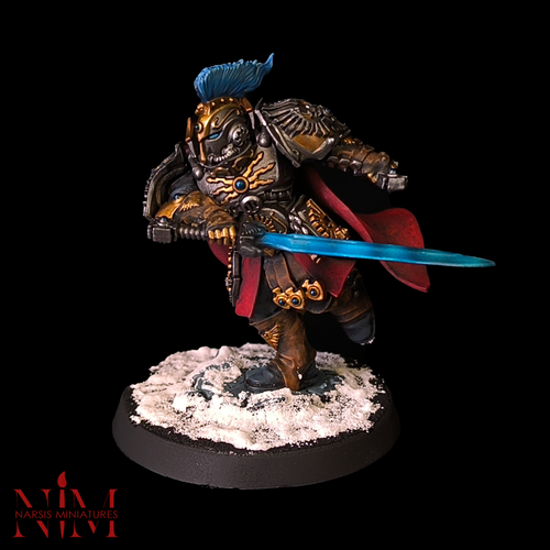 Warhammer 40k painted Custodes blade champion with custom color scheme ...