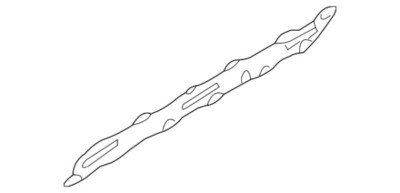 14036EA200 Nissan Gasket-exhaust manifold, a 14036EA200, New Genuine ...