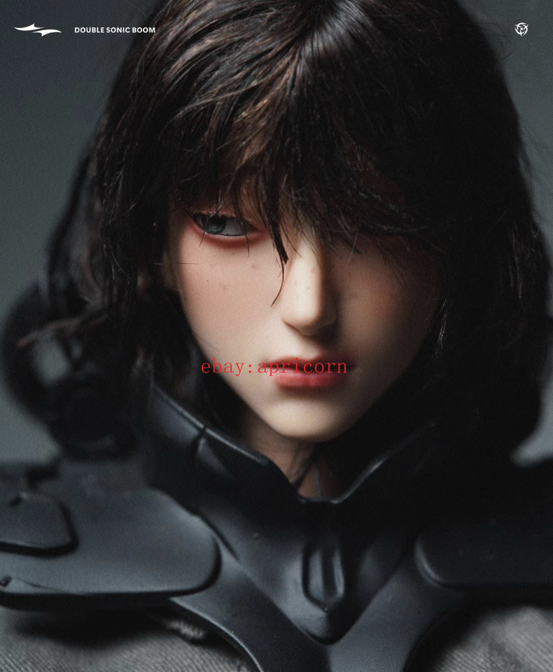 Double Sonic Boom 1/6 Female Action Figure Model Collectible Limited ...