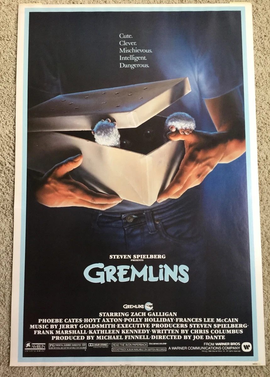 The Campaign Movie Poster