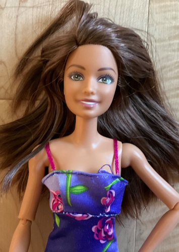 Brunette Teresa/Barbie hybrid, articulated body, carnation dress | eBay