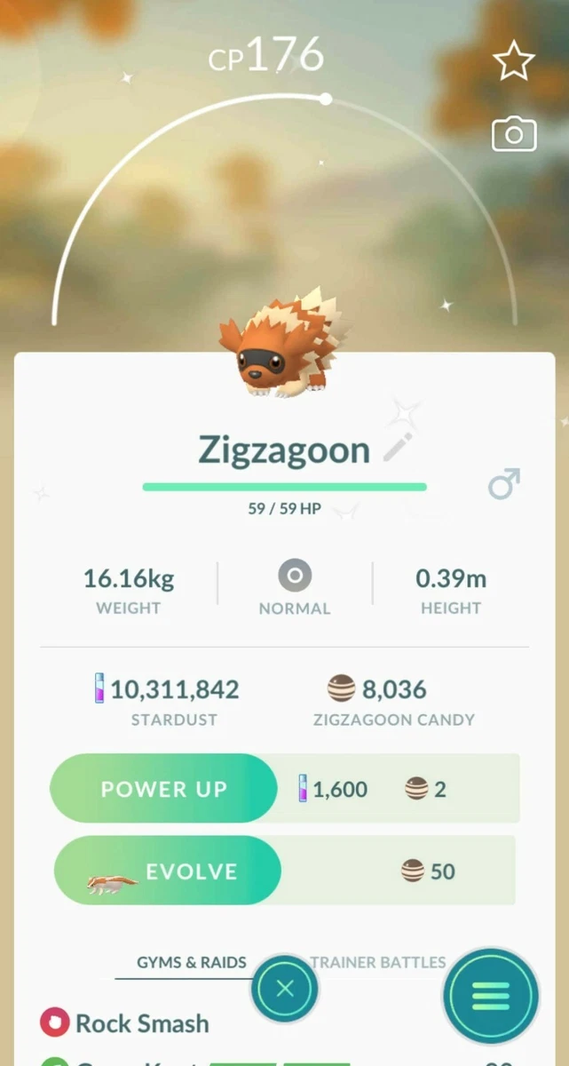 Pokemon Shiny Zigzagoon