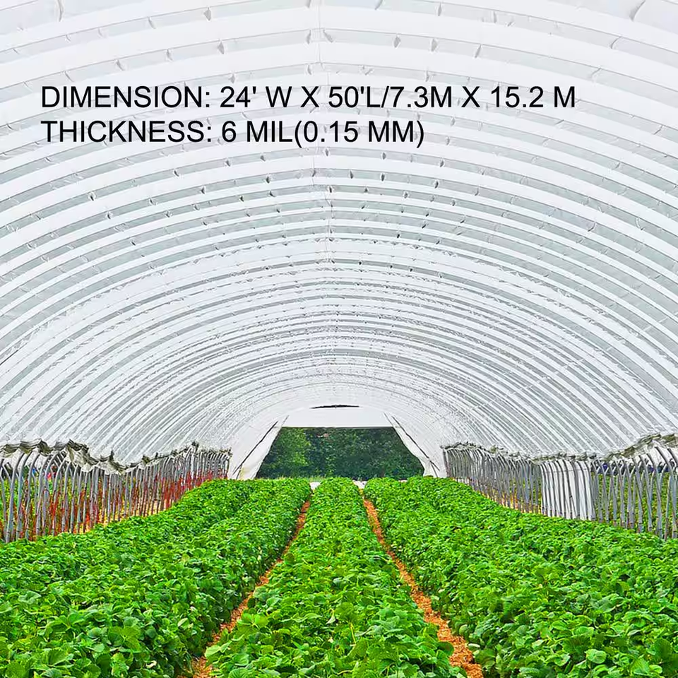 Greenhouse Polyethylene Film 32 Ft. X 25 Ft. 6 Mil Superior Toughness ...