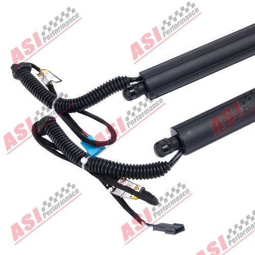 2pcs Rear Shock Tailgate Power Lift Support For BMW X3 F25 2011-2015 ...