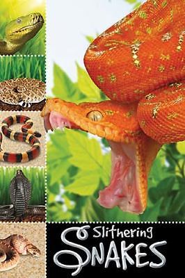 Ready to Read Slithering Snakes by Creese, Sarah 9781848796898 | eBay ...