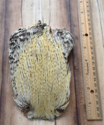 Lot 279, Natural India Rooster Streamer Neck Cape Feathers | eBay