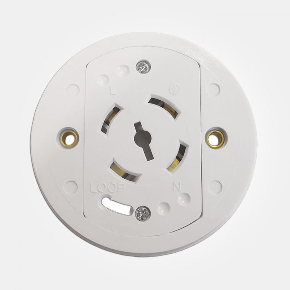 What Is A Plug In Ceiling Rose | Shelly Lighting