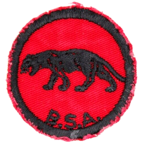 Vintage Red Black Cougar Patrol Patch Boy Scouts BSA | eBay