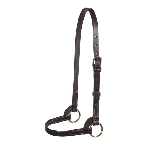 Schneiders Victor Supreme David Bogg Arabian Training Horse Halter |Various Size | eBay