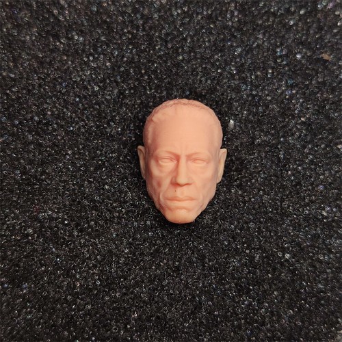1/24 Scale Star Wars Mandalorian Moff Gid Head Sculpt Unpainted Fit 2.5 ...