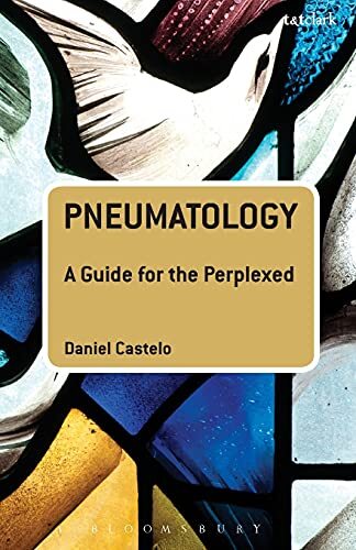 Pneumatology: A Guide for the Perplexed 9780567006806| eBay