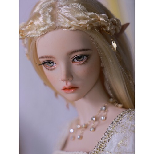 1/3 BJD Dolls Elf Ears Girl Bare Nude Resin Jointed Body Eyes Face ...