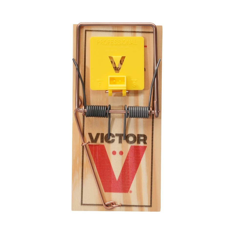 Victor Wide Pedal Rat Wood Snap Rat Trap Easy Set, Multi PACK | eBay