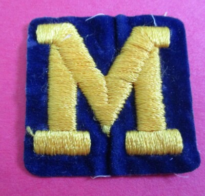 Michigan State Wolverines Yellow on Black Logo - NCAA New Iron-On Patch ...