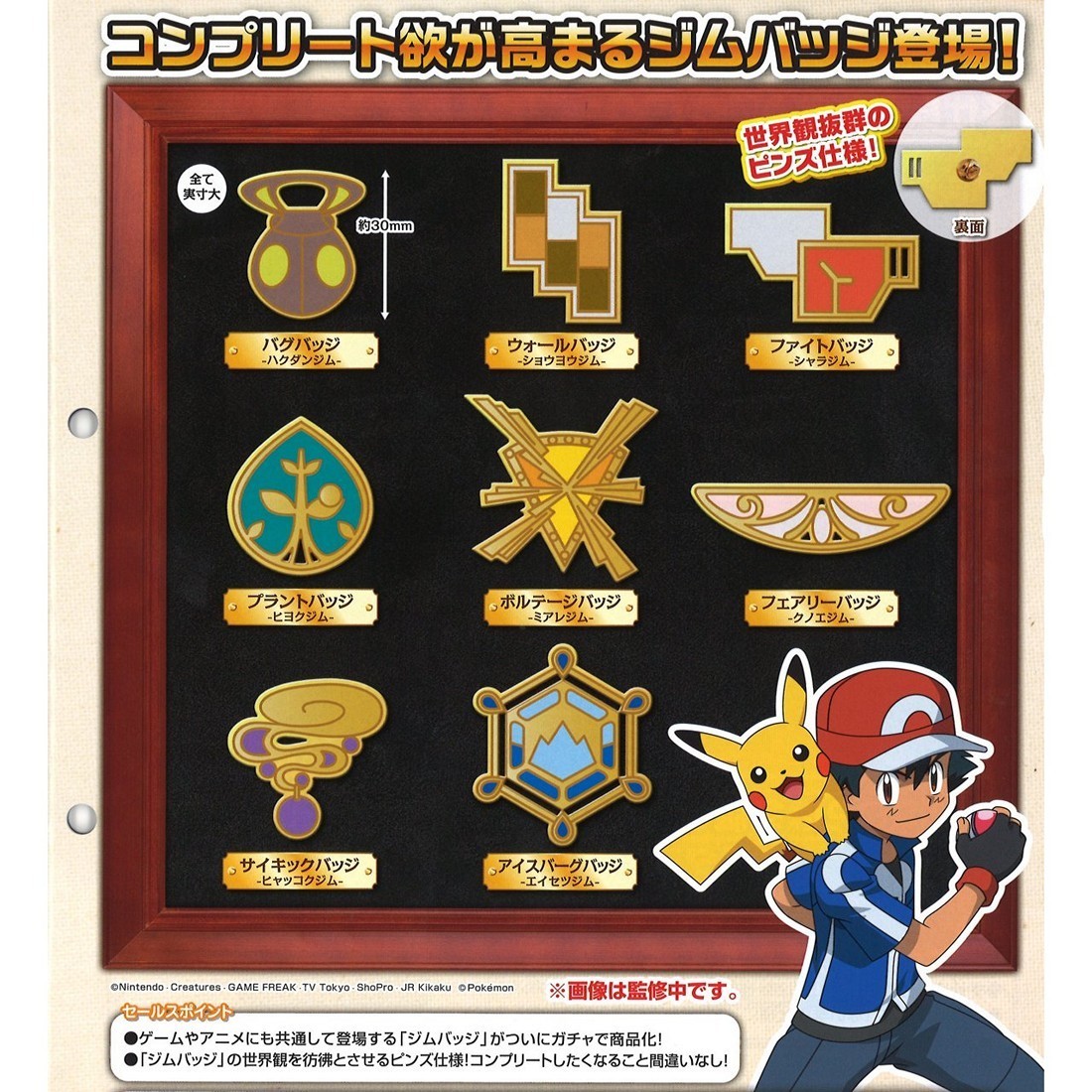 Pokemon Kalos Gym Badges