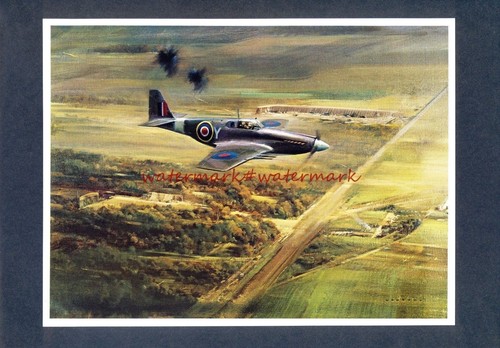 AVIATION ARTIST Frank Wootton Mounted Print 'MUSTANG PHOTOING V1 SITE ...
