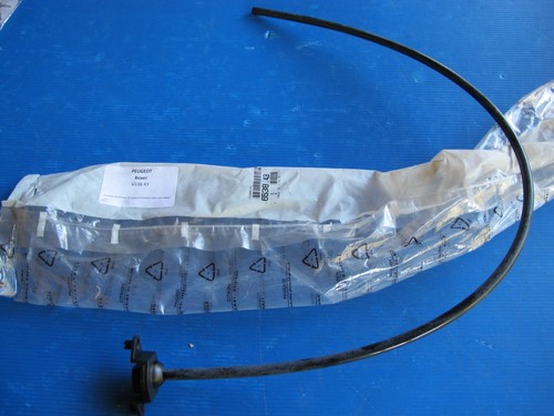 Fourreau de faisceau de plaque d'immatriculation pour Peugeot Boxer I ...