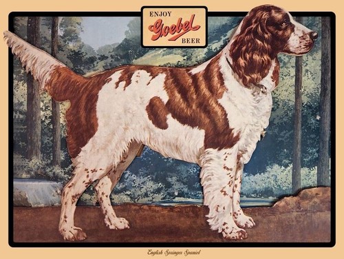Goebel Beer - English Springer Spaniel Dog NEW METAL SIGN: 12 x 16 ...