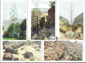 prattan store | eBay Stores