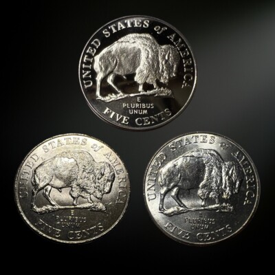 2005 Bison Nickel for sale | eBay