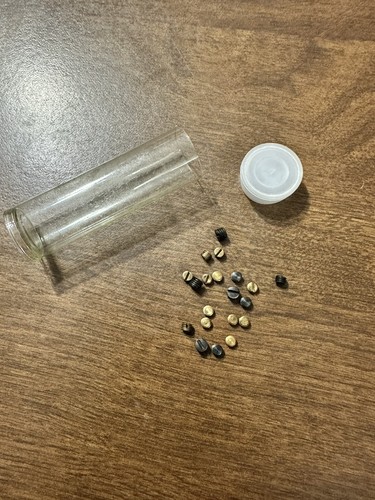 Tube Of 20 Miscellaneous Firearm Gun Receiver Plug Screws Blued & Gold ...